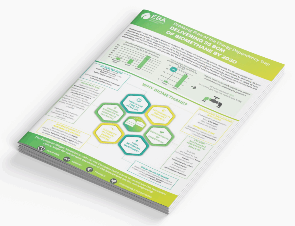 Breaking Free of the Energy Dependency Trap – Delivering 35 bcm of ...