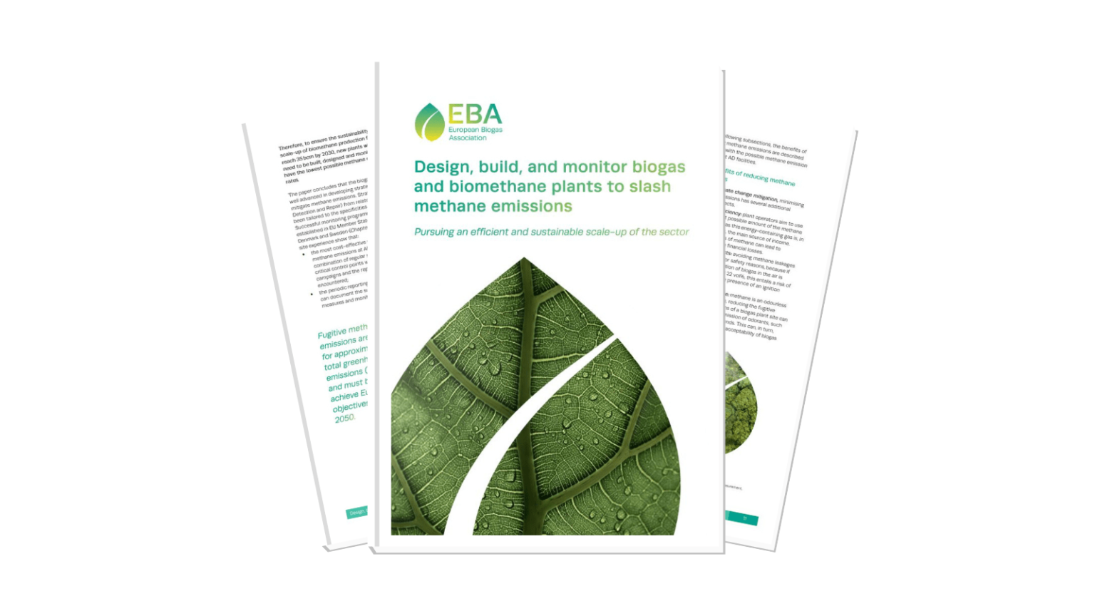 European Biogas Association